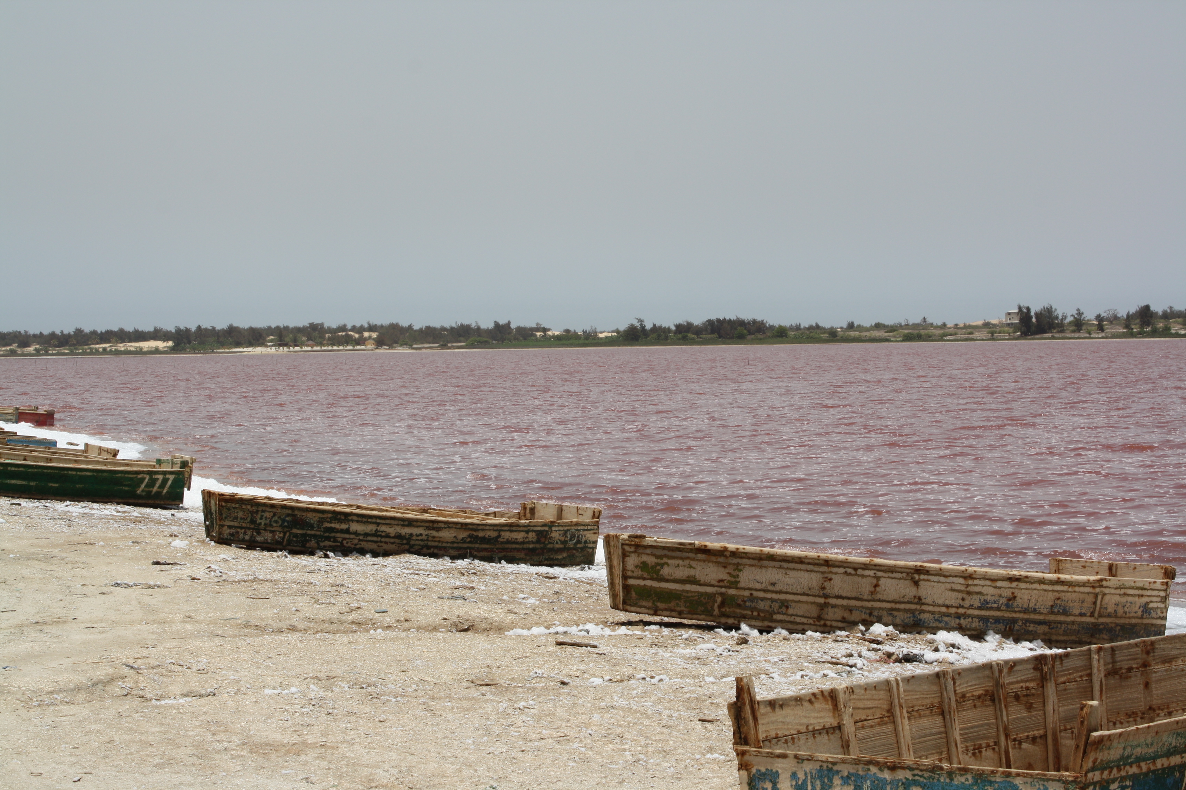 9 avril 2012: lac rose & retour par la plage